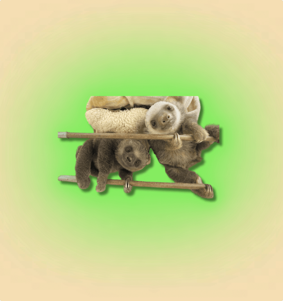 Products – All Angles Creatures