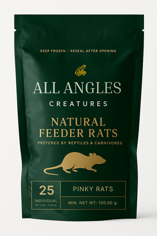 Feeders – All Angles Creatures